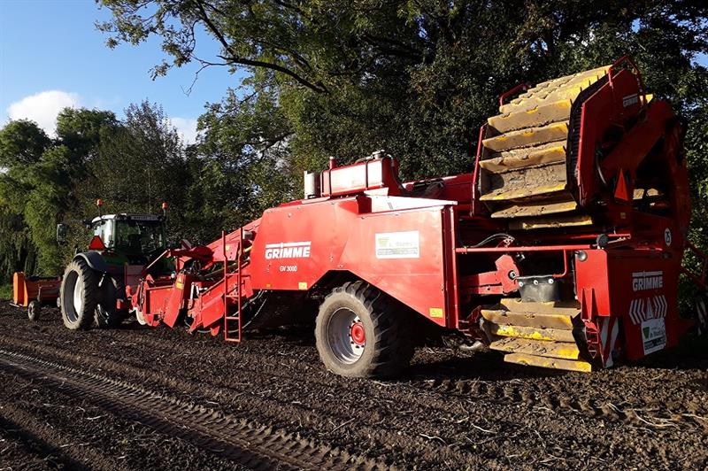 Getrokken vierrijige rooier laatste der Mohikanen in de polder ...