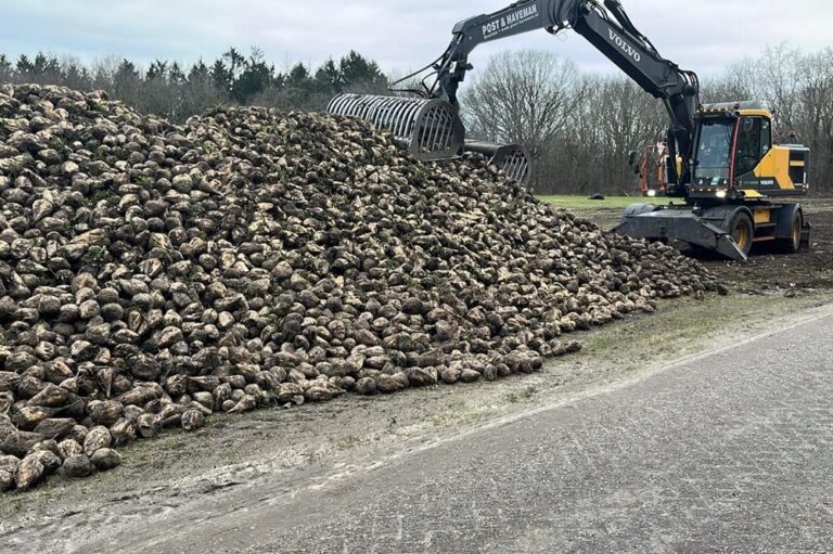 Alles over suikerbieten | Suikerbieten voor loonwerkers